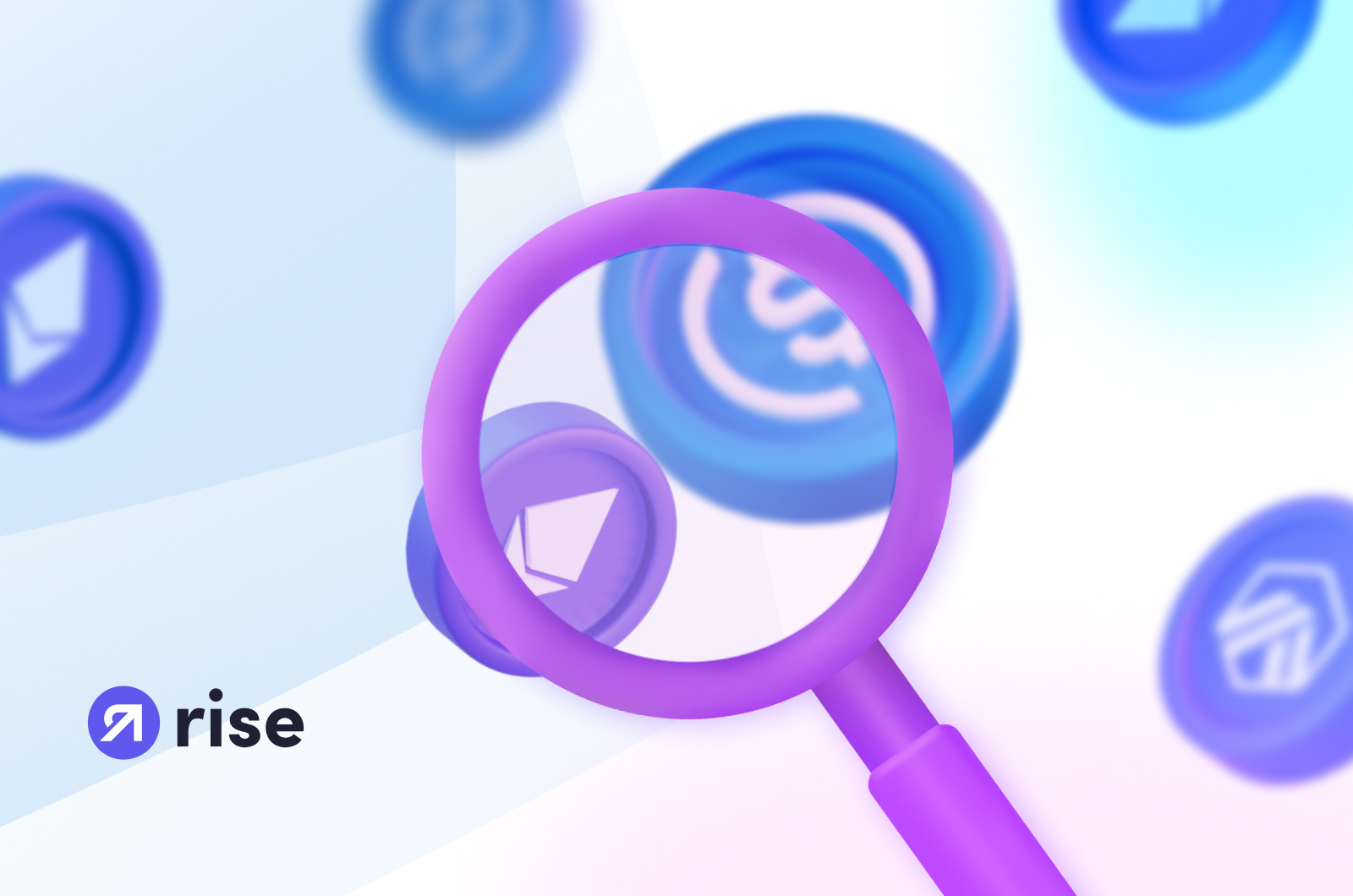 Rise | How to Manage Payroll from a Crypto Treasury